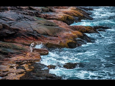 Barents Denizi'nin Şiddetli Plajları