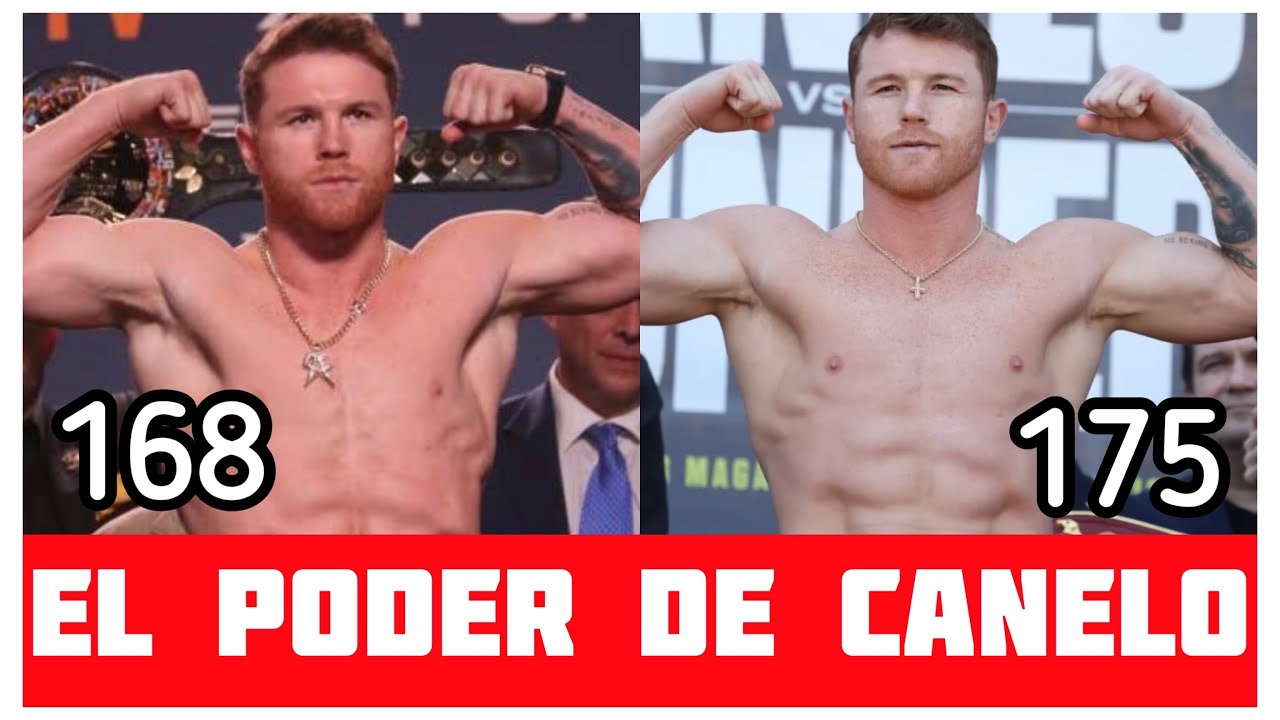¿168 o 175? ¿En que PESÓ se ve mejor el Canelo? (IMPERDIBLE) / Video ...