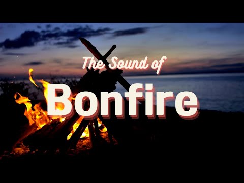 The Sound of Bonfire - 1 hour Bonfire sound for sleeping ｜ Study ...