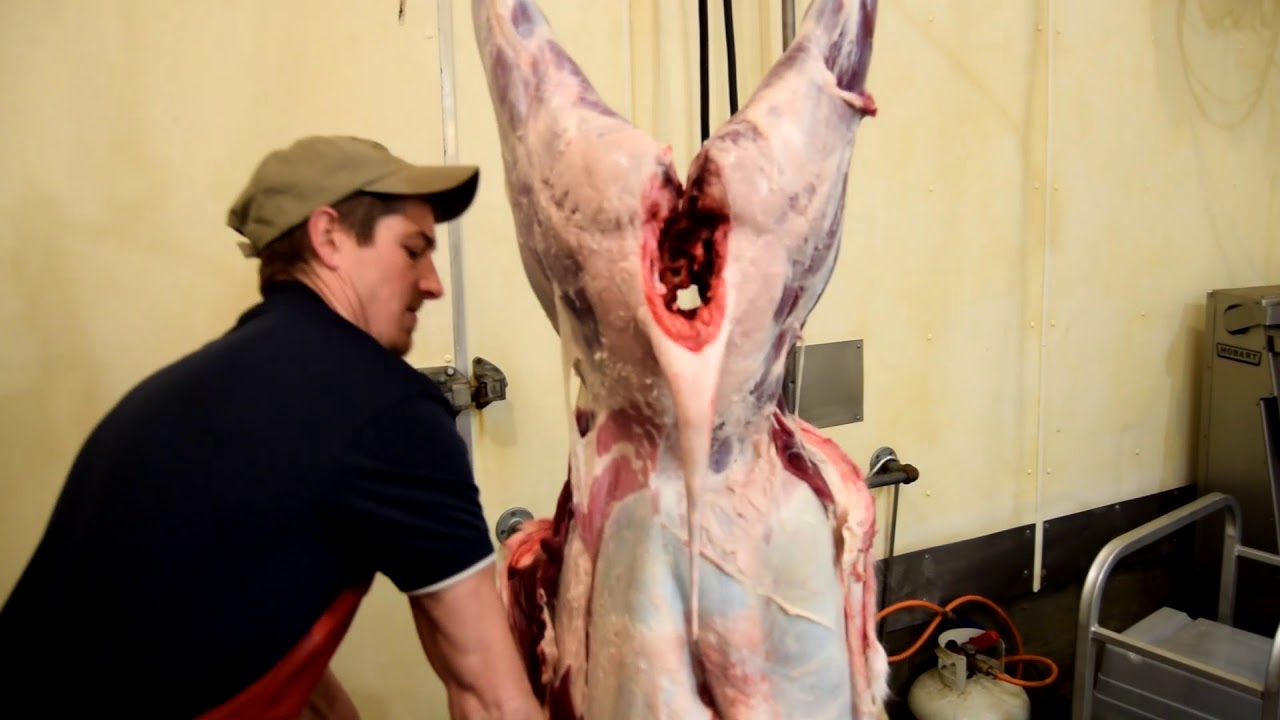 Deer Skinning Video - YouTube