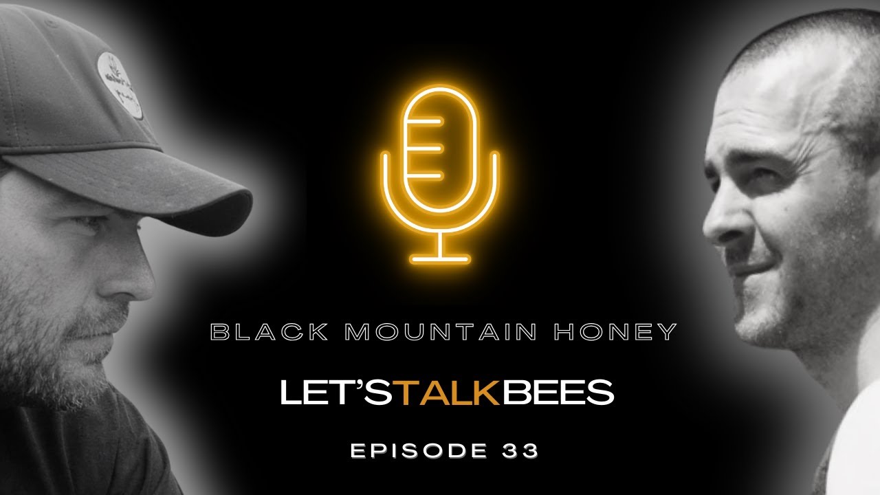 Black Mountain Honey: Let's Talk Bees with Gruffydd Rees - Episode 33 ...