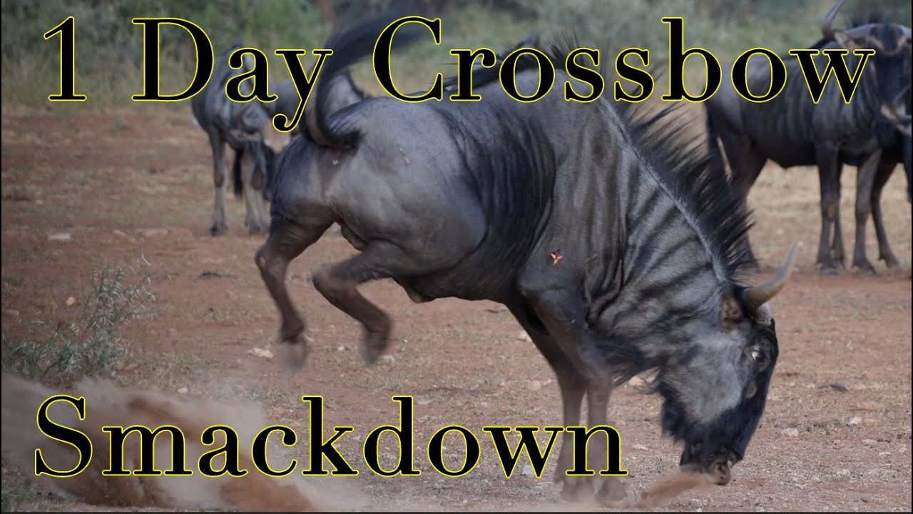 "Crossbow Hunting in Africa: What Happened in JUST 1 DAY!?" - YouTube