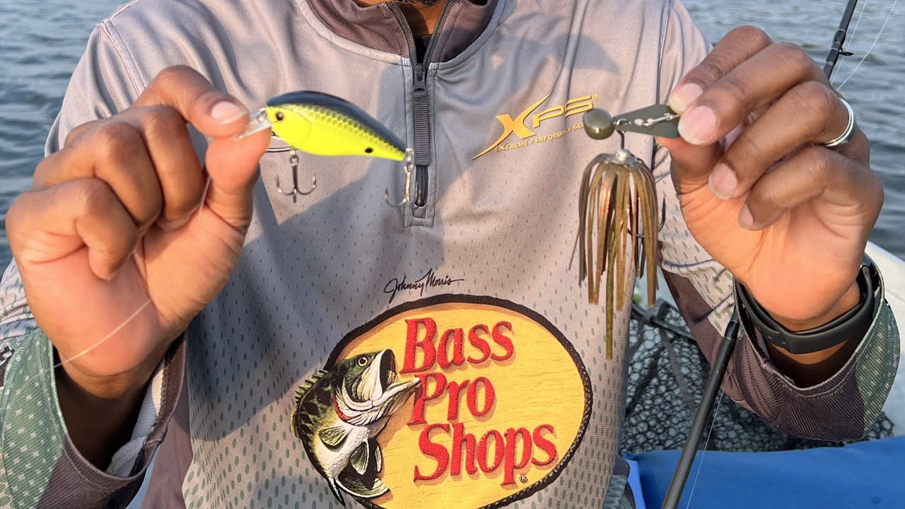 One of My Best Bass Pro Boxes - YouTube