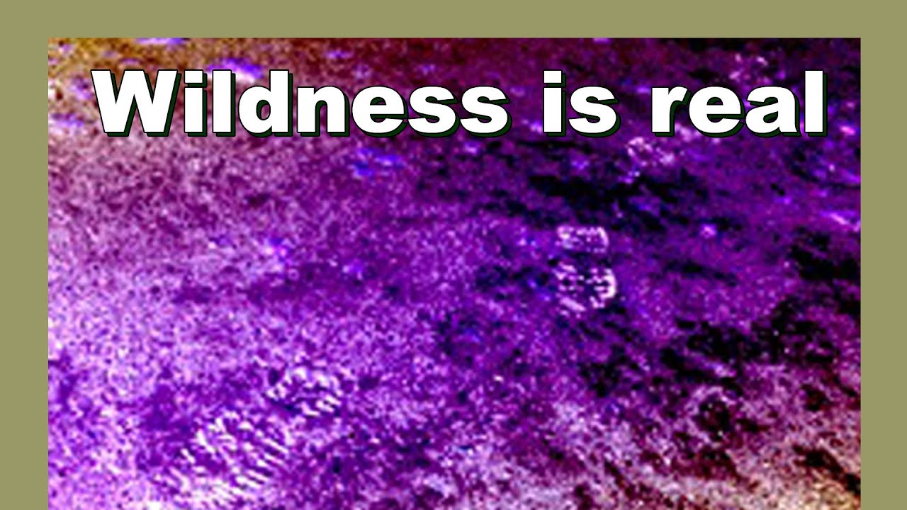 Wildness is real - The Path of Wildness - LylesBrother - YouTube