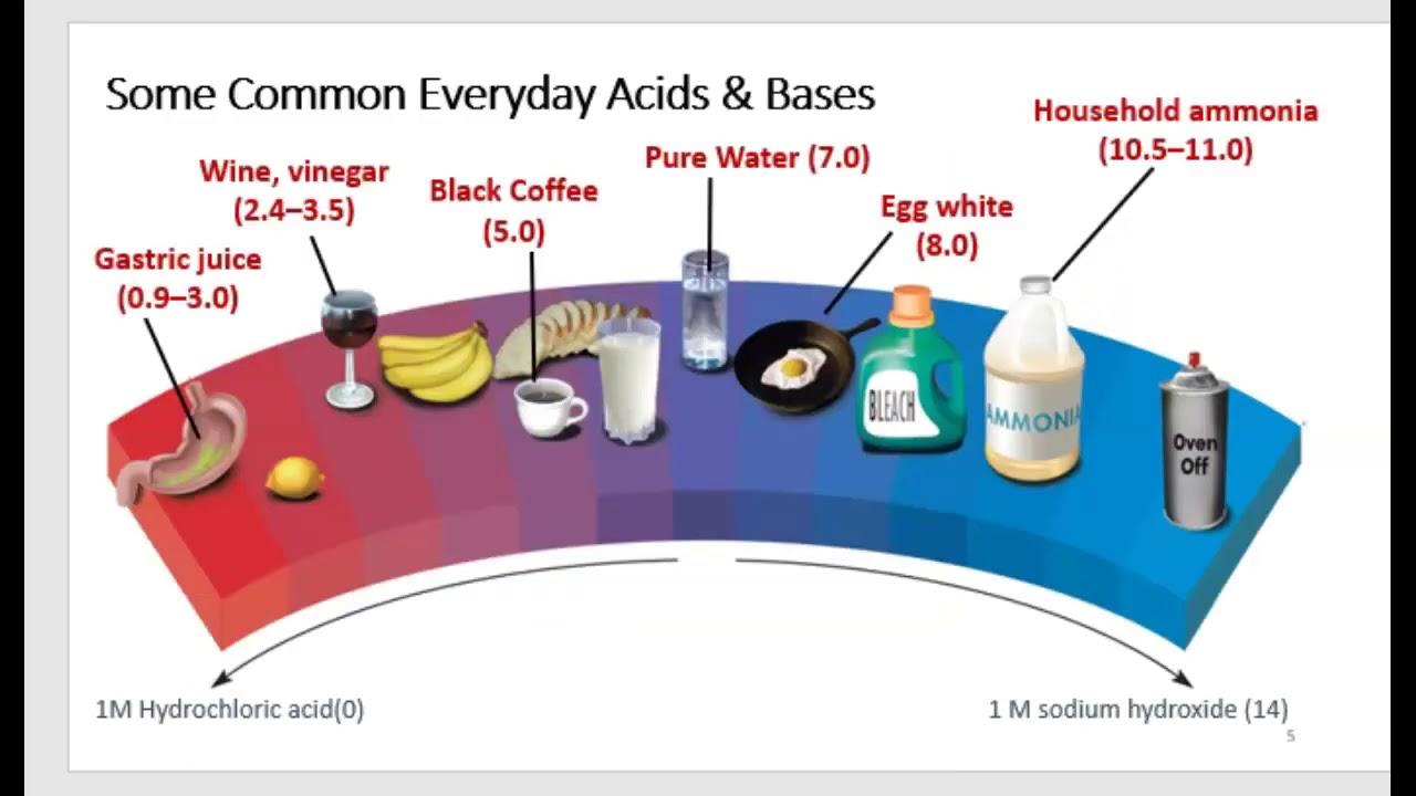 Acids, Bases, pH and Buffers - YouTube