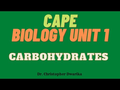 CAPE Biology Unit 1 Module 1 - Carbohydrates - YouTube