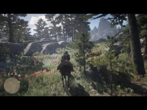 Red Dead Redemption 2 - Cazando al oso legendario - YouTube