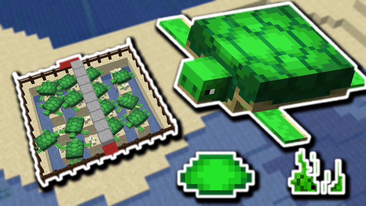 KAPLUMBAĞA FARMI | MINECRAFT | 1.19 | JAVA EDITION - YouTube