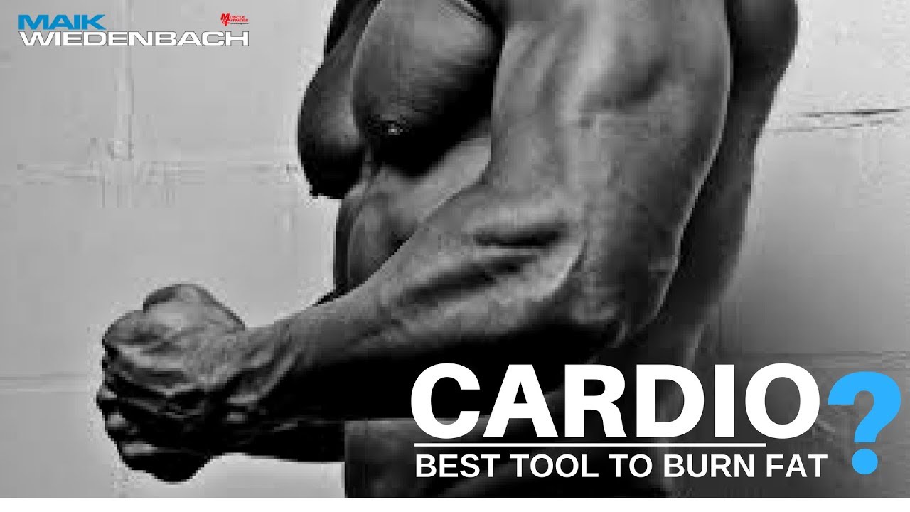 Cardio: Best Tool to Burn Fat? - YouTube