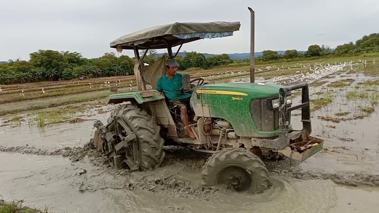 belajar bertani bersama geng batangawon #1 langkah2 awal hingga menabur ...