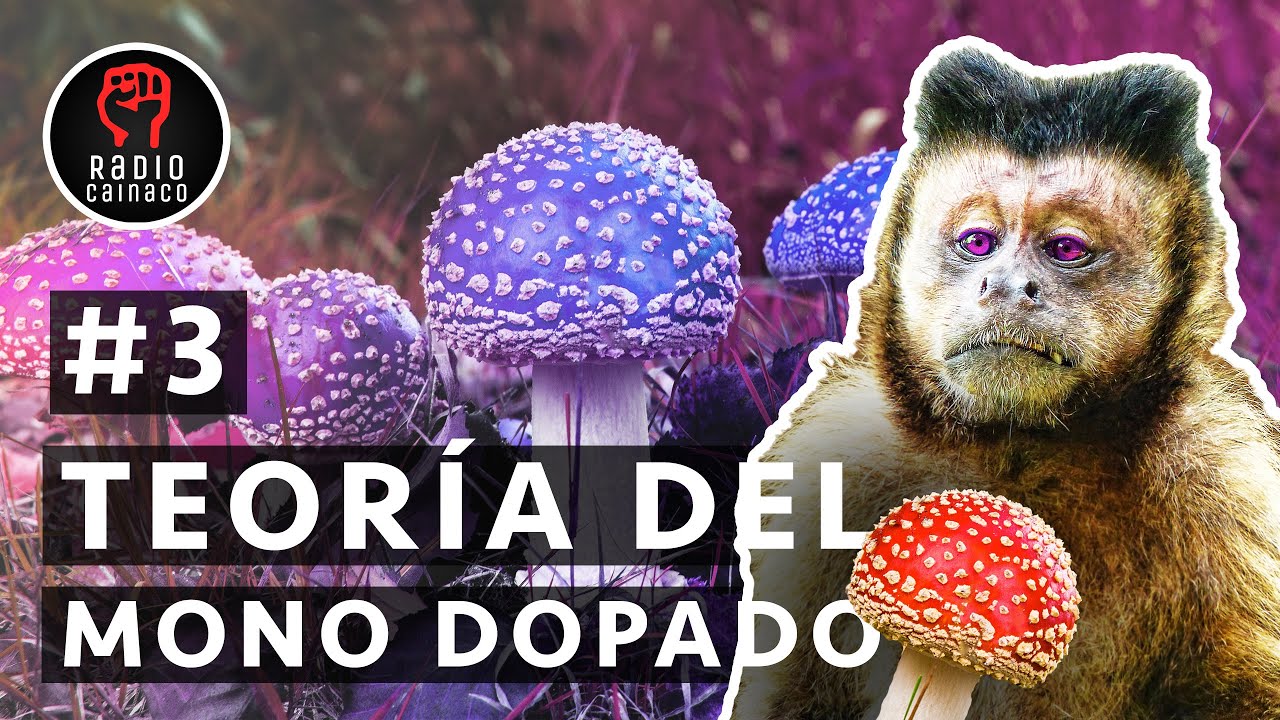 Radio Cainaco #3 - Teoria del mono dopado - YouTube