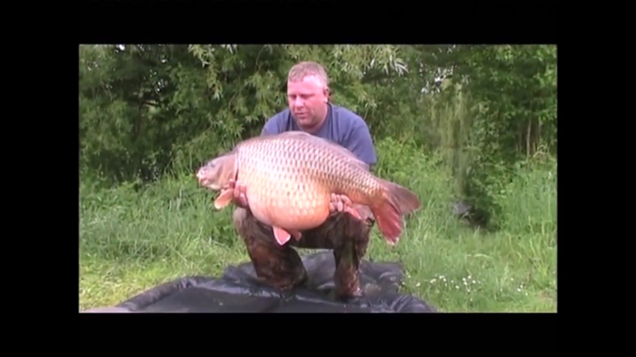 58lb common from Les Quis in France - YouTube