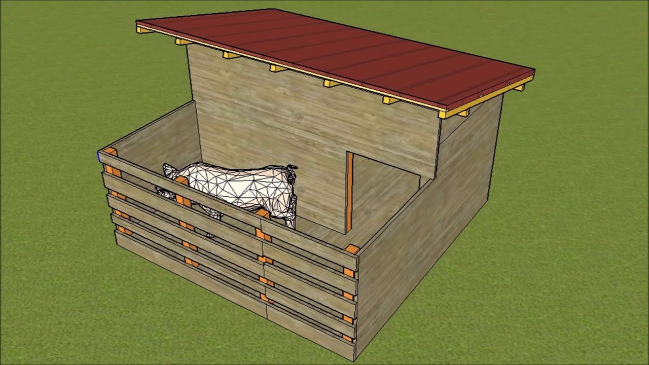 Adapost (Lemn) Porc - YouTube