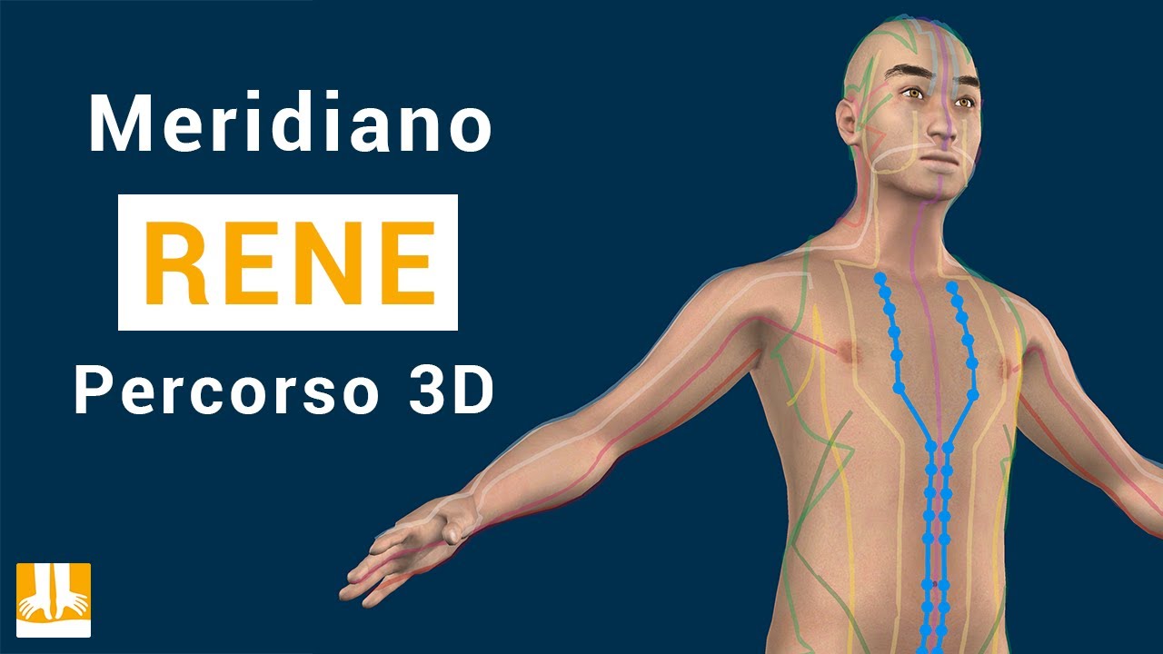 Meridiano del Rene - Percorso in 3D punto per punto - YouTube