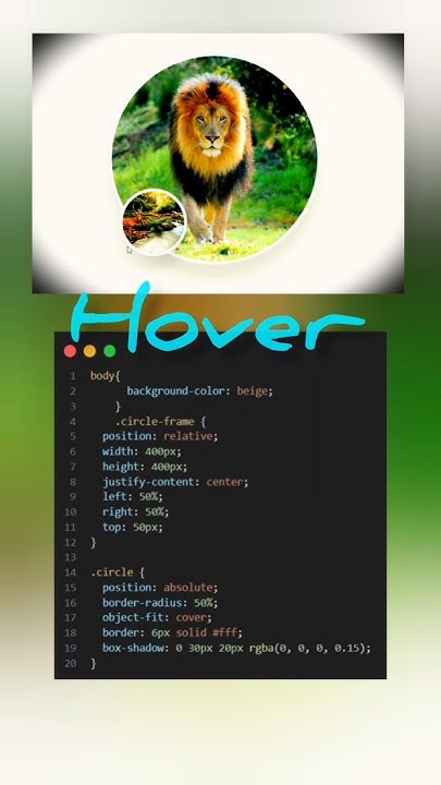 4 / 100 Tricks:Next Level Image Hover Effects (CSS Tutorial) #html #css #cssanimation #js - YouTube