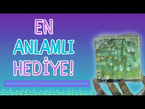 GÜZELLİĞİNE BAYILACAKSINIZ 😱 SONSUZ LALE  YAPIYORUZ 🌷🎁 #tuliplamp #hediyefikirleri