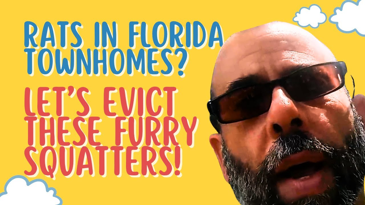 Solving Rat Infestation Problems in Florida Townhomes - YouTube