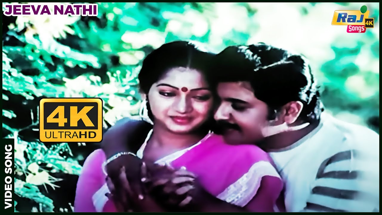 Climax Duet Theme Music....| Sivakumar | Ilavarasi | Madhuri ...