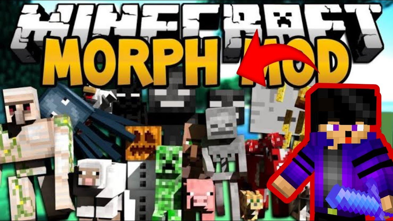 COMO TRANSFORMARTE EN CUALQUIER ENTIDAD EN MINECRAFT PE SIN MODS ...