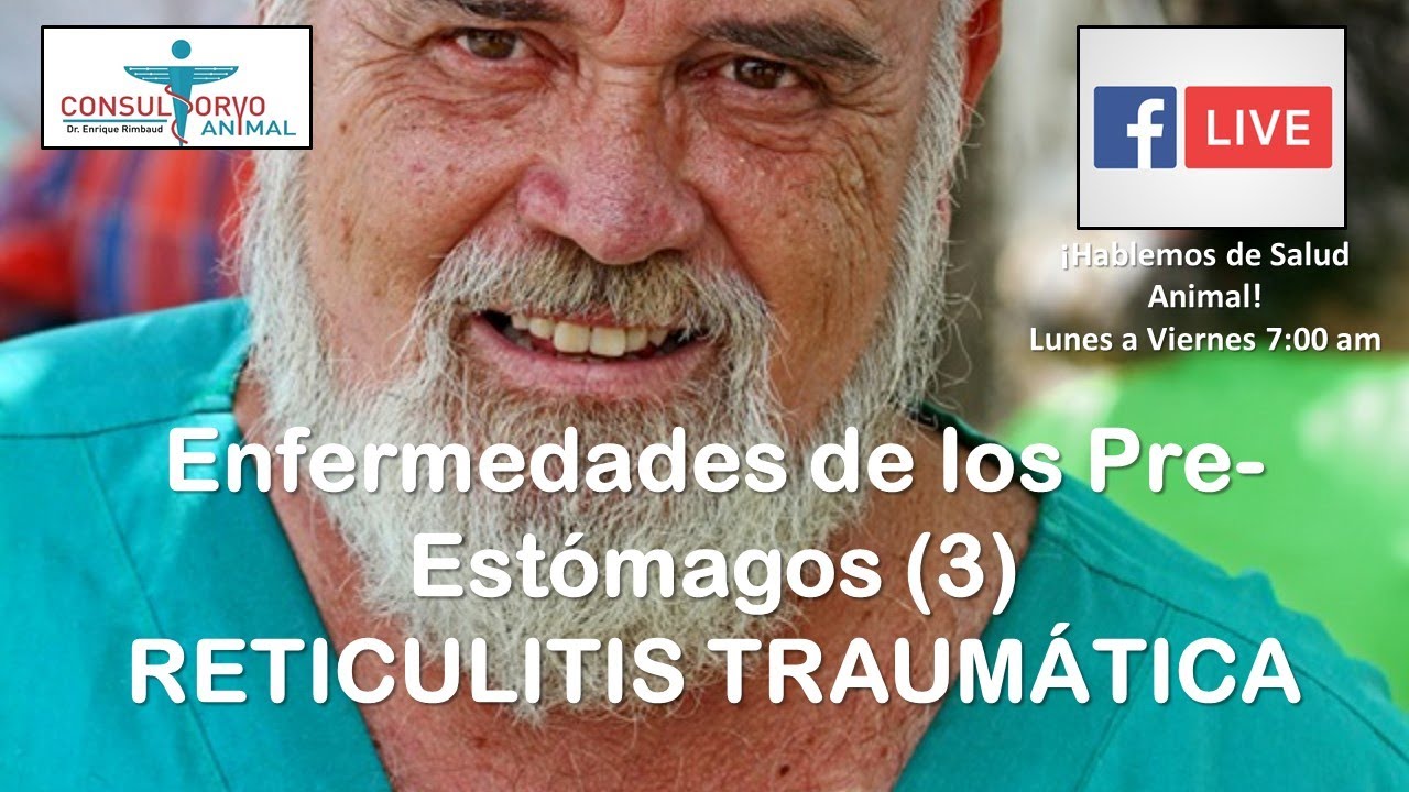 RETICULITIS TRAUMATICA - YouTube