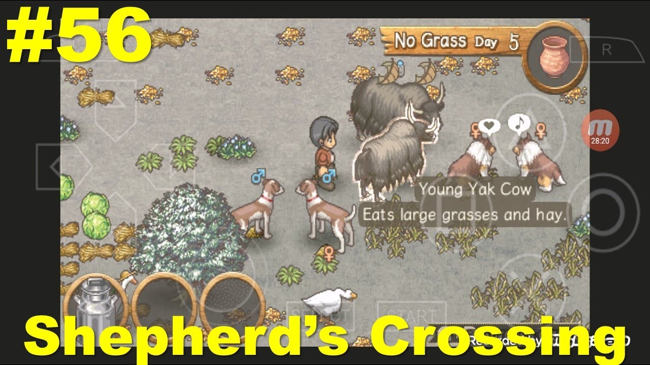 Shepherd's Crossing PSP Gameplay #56 No Grass Day with Huge Animals ...