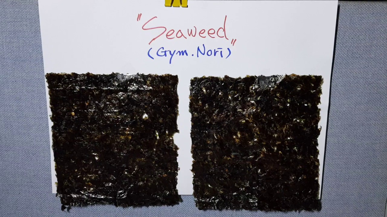 The dried red algae is still alive:New Education for Students.(1of3 ...