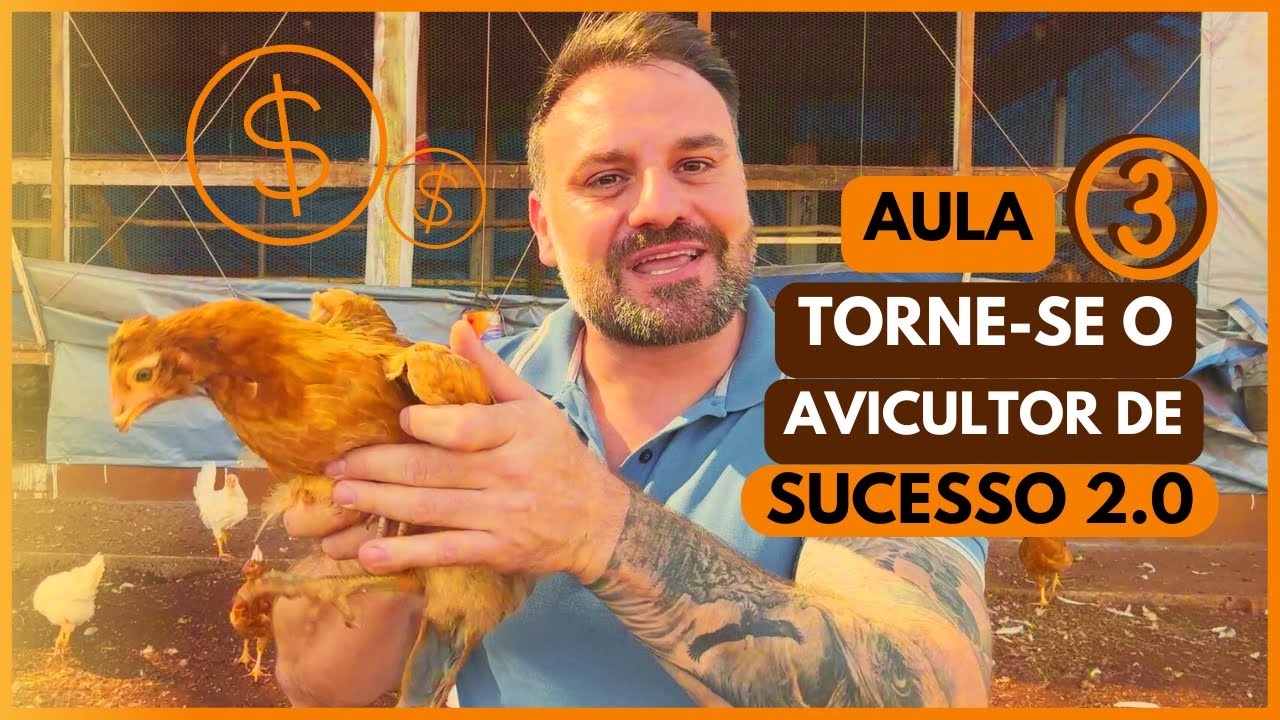 AULA 3 - Avicultor de Sucesso: Como Viver da Avicultura Caipira com ...