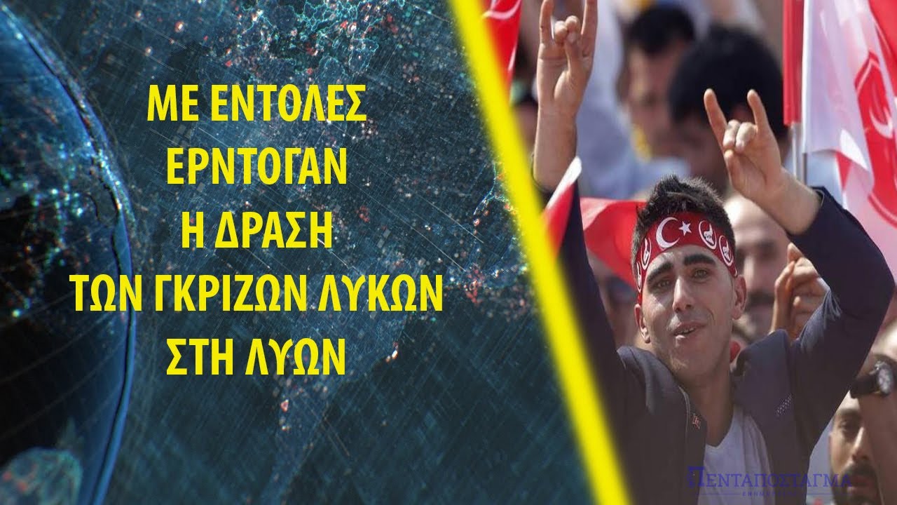 Με εντολές απευθείας από τον Ερντογάν η δράση των Γκρίζων Λύκων στη ...