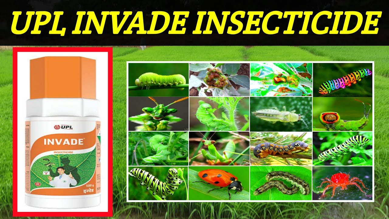 UPL Invade insecticide | flubendiamide 20%wg | Invade insecticide price ...