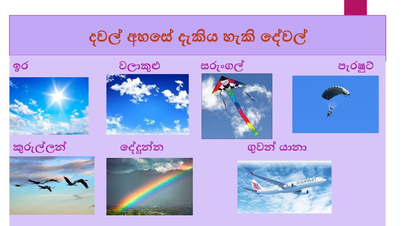 අපට පෙනෙන අහස 1 -2 වසර ( පරිසරය ) - YouTube