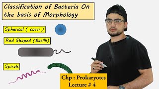 Classification of bacteria on the basis of Morphology ... | Doovi
