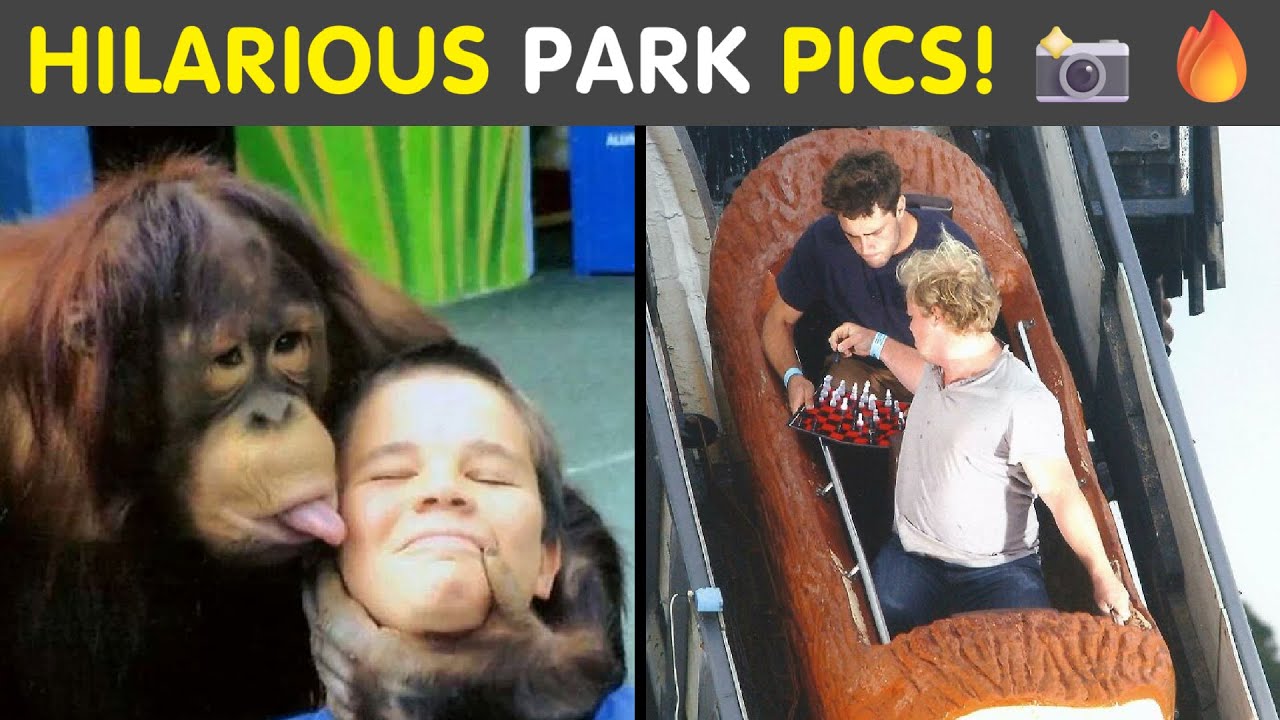 Hilarious Amusement Park Pics From People Who Just Can’t Act Normal 😂🎡🔥 ...