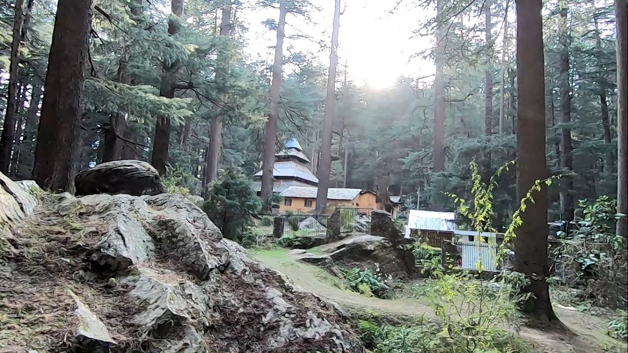 Dungri Van Vihar Manali || Himachal Pradesh, India - YouTube