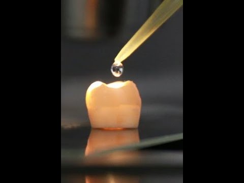 Forget Implants! Can You ACTUALLY Grow New Teeth Now - YouTube