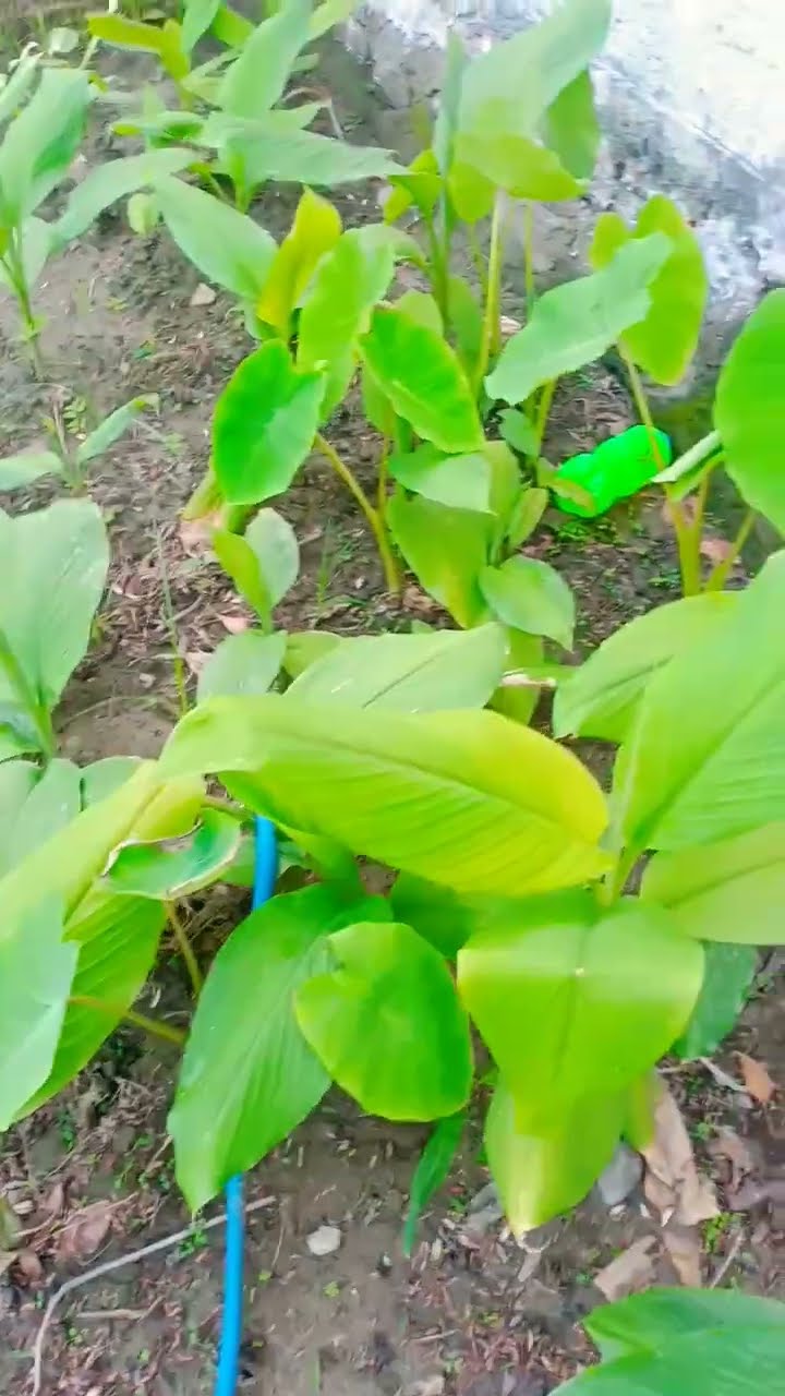 July 2, 2024 - YouTube