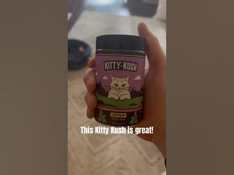 Oscar and the Kitty Kush @KittyKushCatnip #catnip - YouTube
