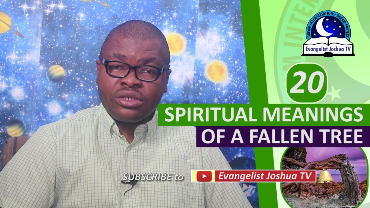 SPIRITUAL MEANING OF A FALLEN TREE Biblical Meaning Of Trees Dream spiritual-meaning-of-a-fallen-tree-biblical-meaning-of-trees-dream