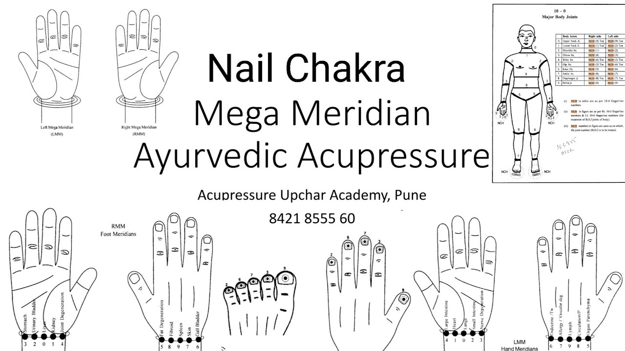 NCH- Nail Chakra नख चक्र | MM- Mega Meridian ऊर्जा के महास्त्रोत्र ...
