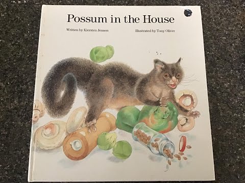 Possum in the House - YouTube