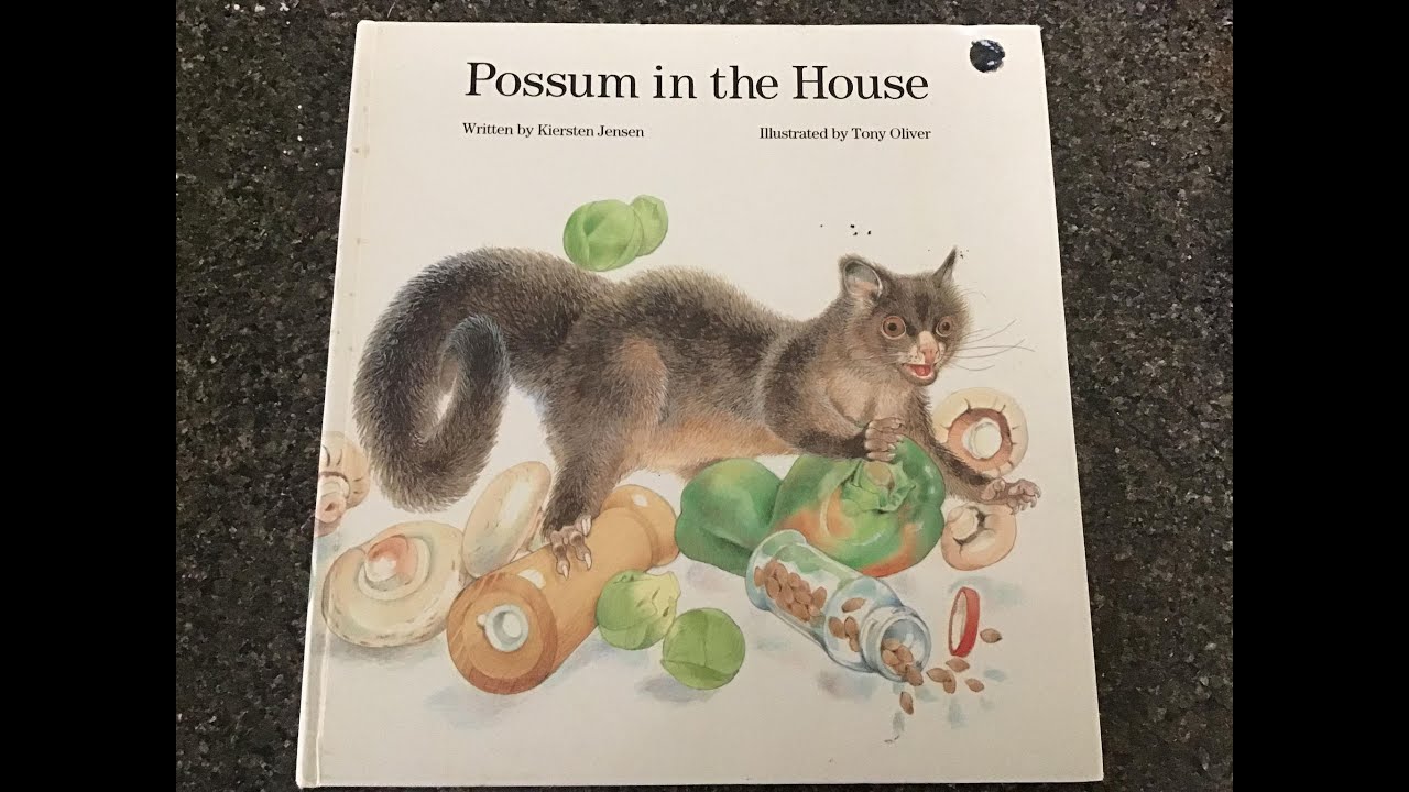 Possum in the House - YouTube