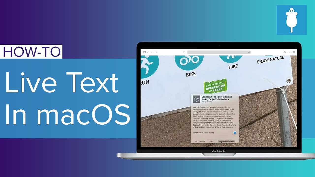 How To Use Live Text And Visual Look Up On MacOS Monterey - YouTube