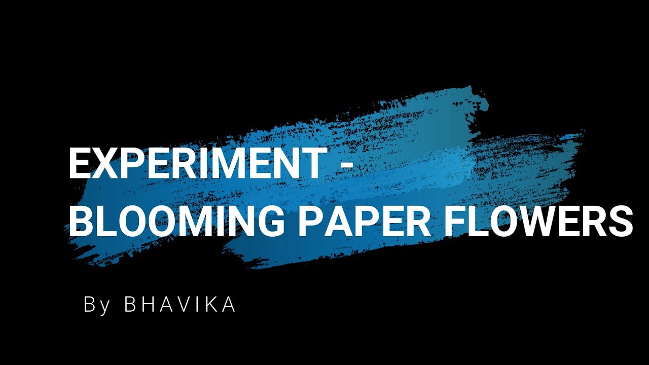 Experiment: Blooming Paper Flowers - YouTube