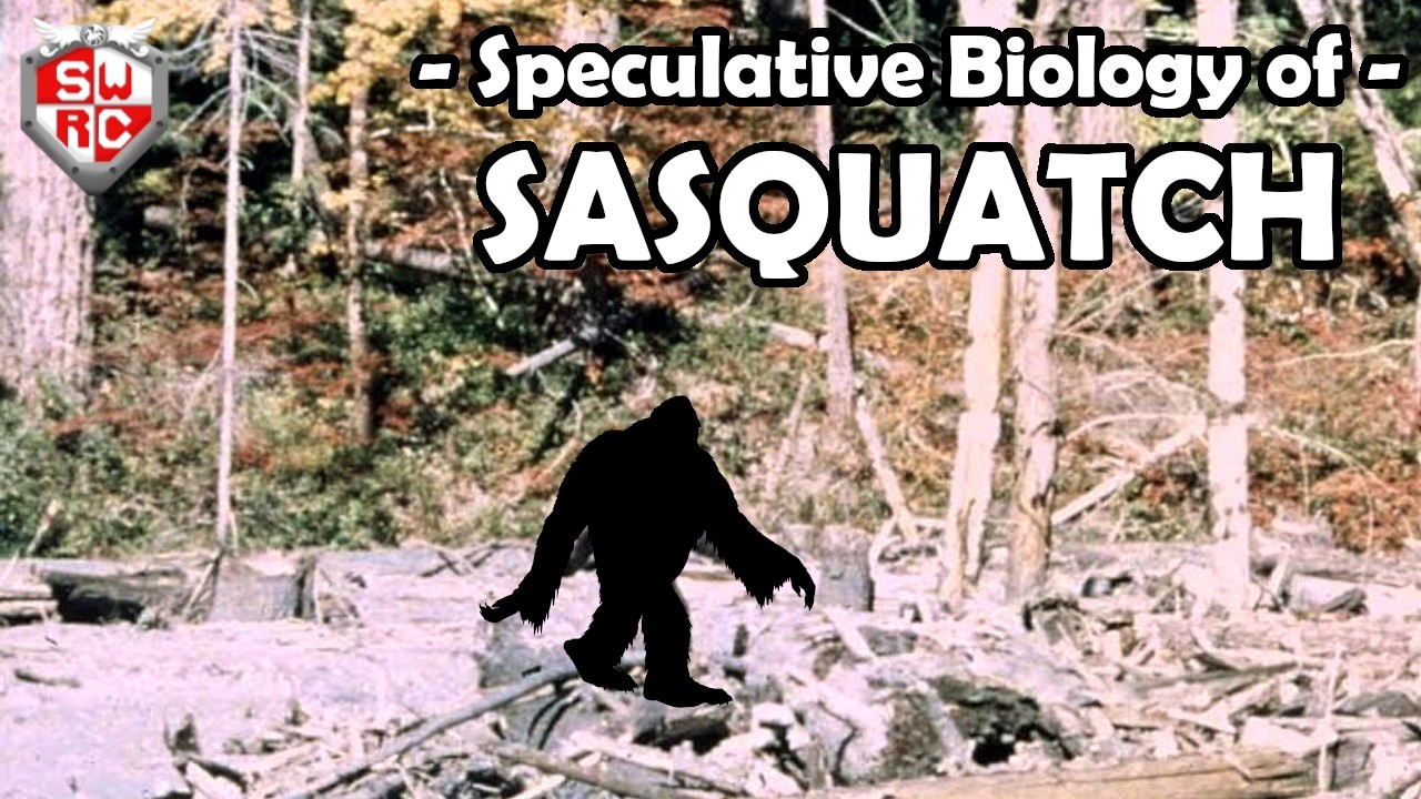 Speculative Biology of Sasquatch! - YouTube