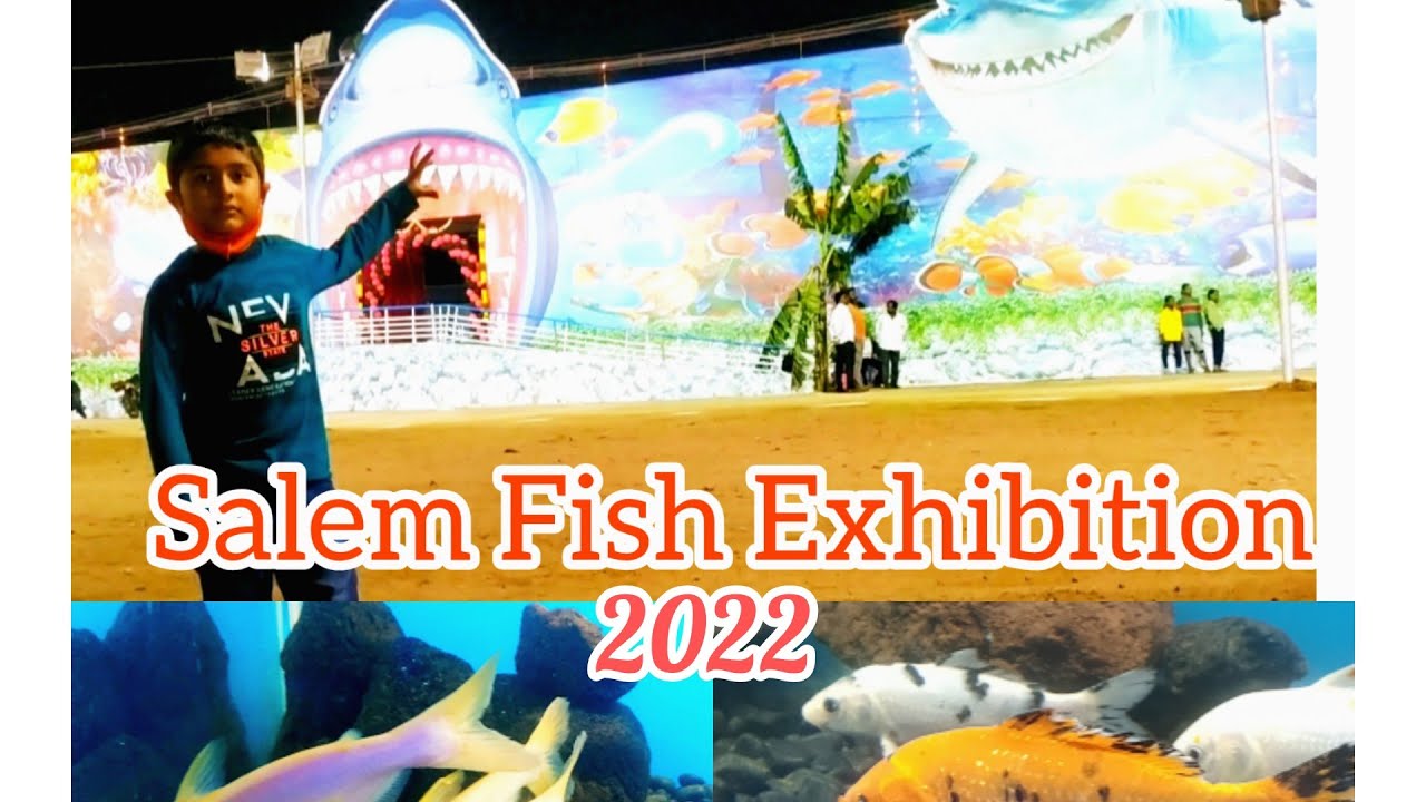 Salem Fish exhibition 2022 Year end - YouTube