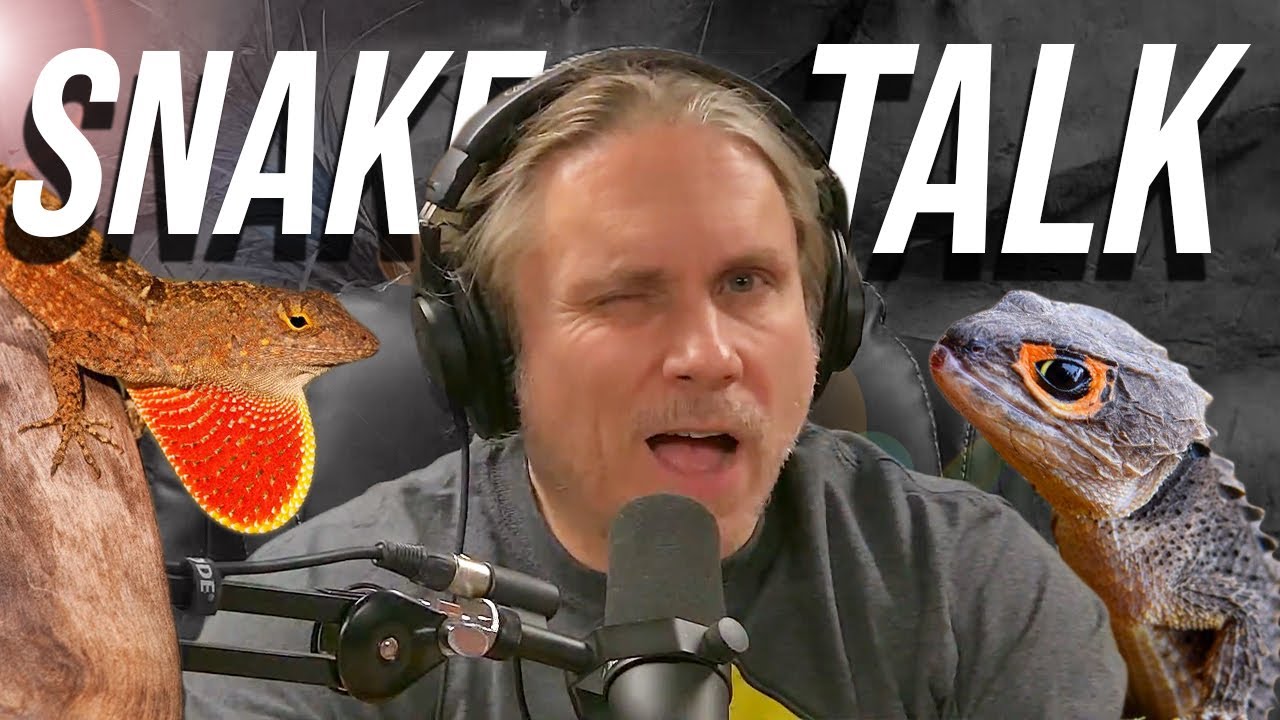 Brian Barczyk : Snake Talk!!! (Ep. 15) - YouTube