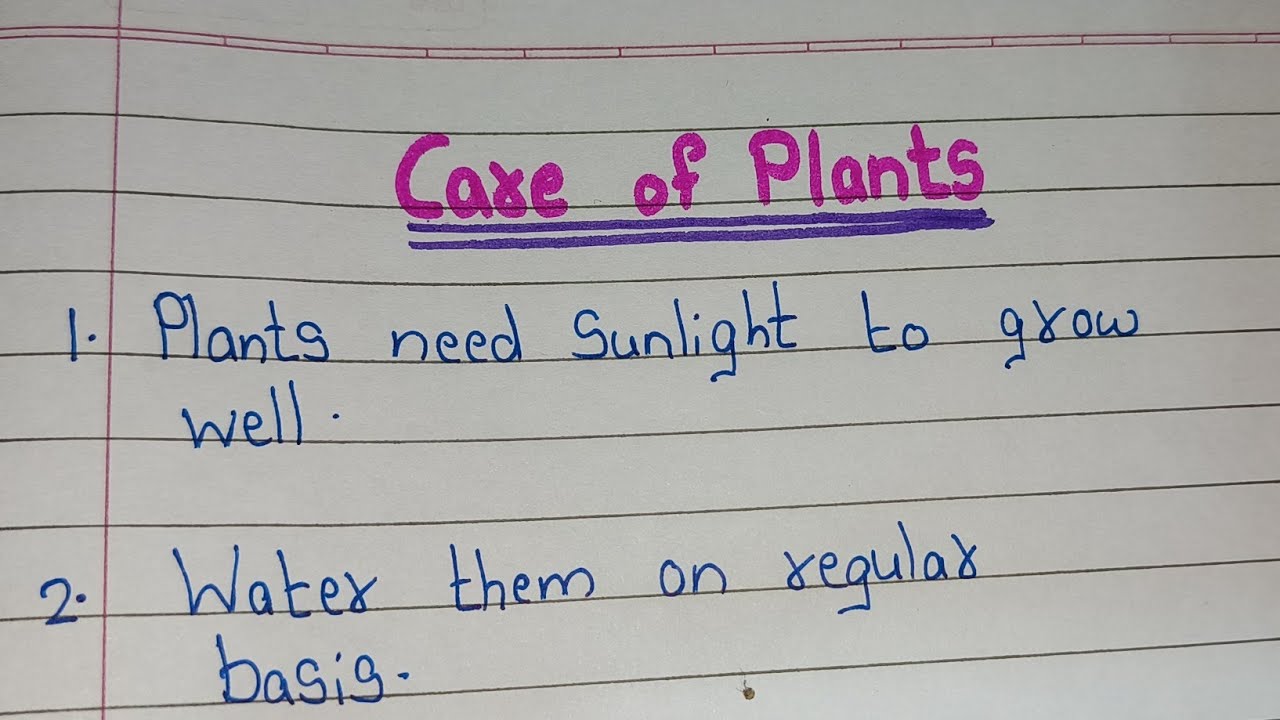 5 lines on Care Of Plants || Essay on Care of Plants in english | Few ...
