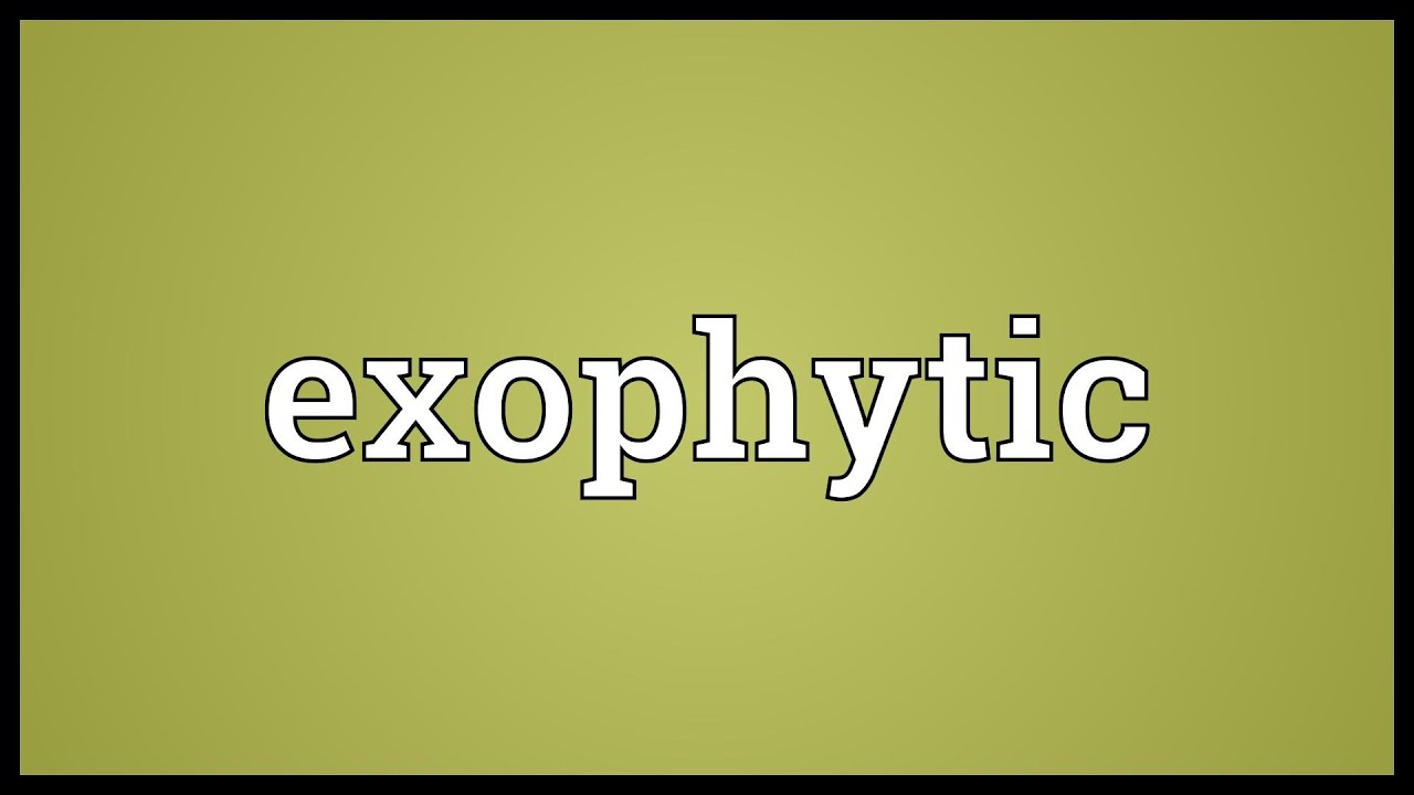 Exophytic Meaning - YouTube