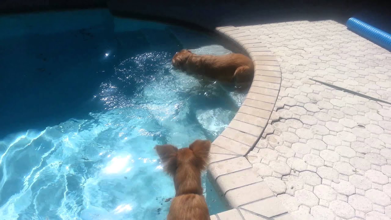 Dagny and Mackenzie at the pool - YouTube