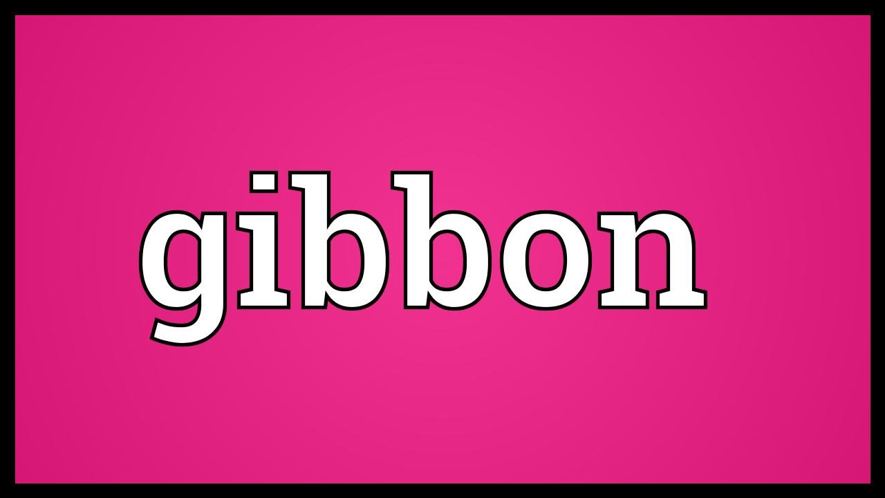Gibbon Meaning - YouTube