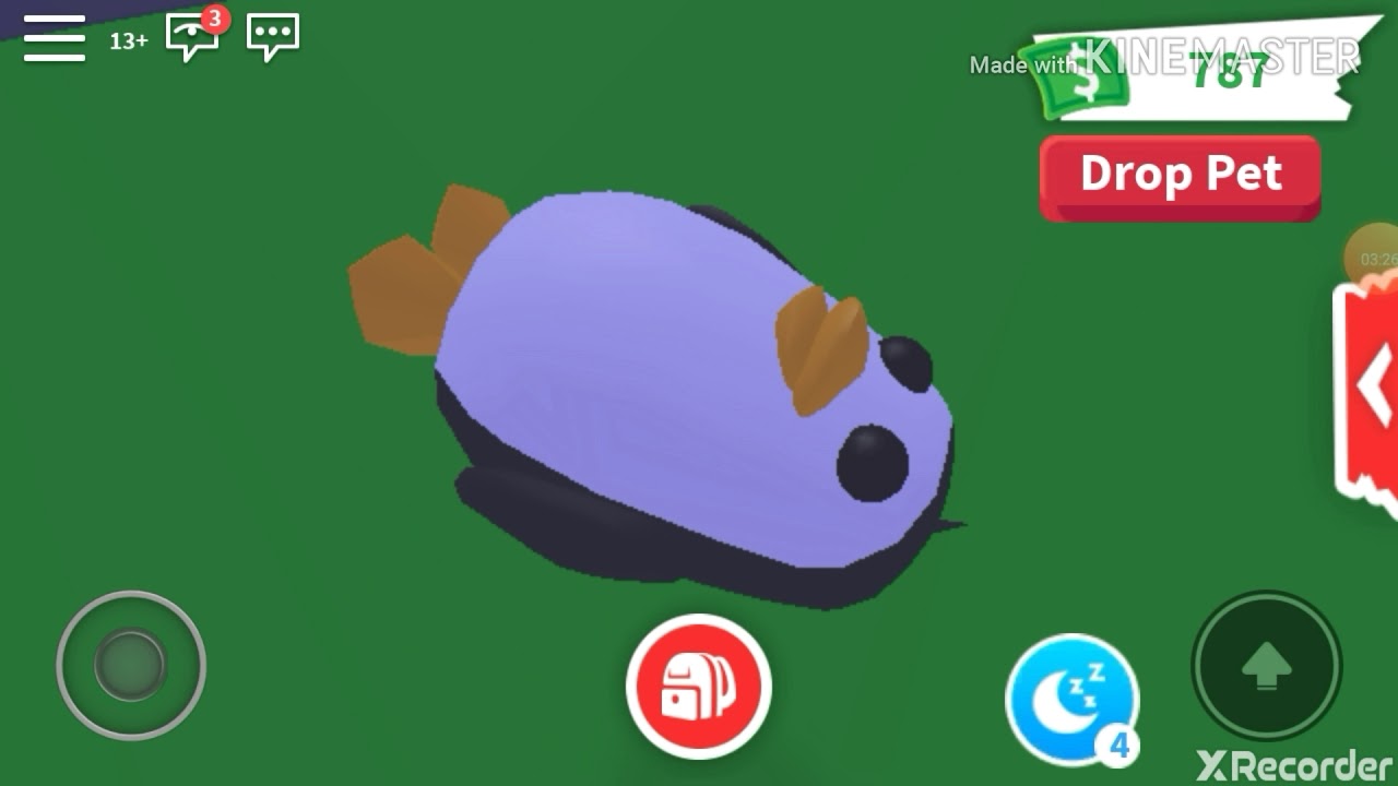 New Update: 3 New Potion On adopt Me! Testing All Of Them Out ( Roblox ...